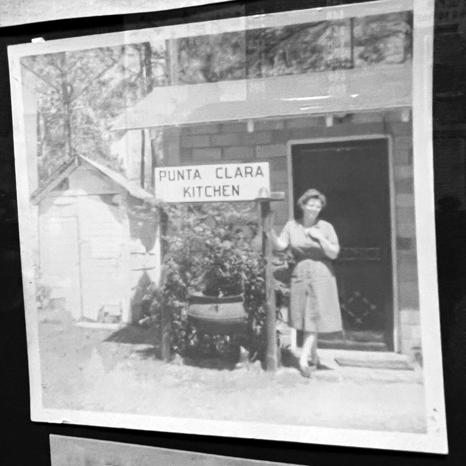 Punta Clara Kitchen | Alabama Retail Association